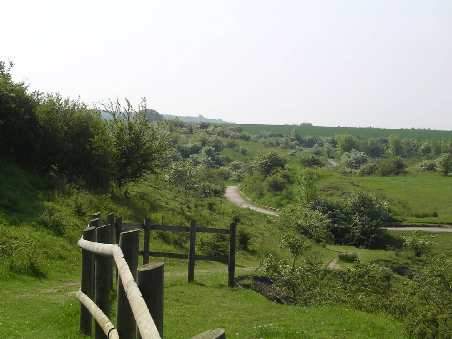 Fermyn Woods Country Park - Discover Northamptonshire