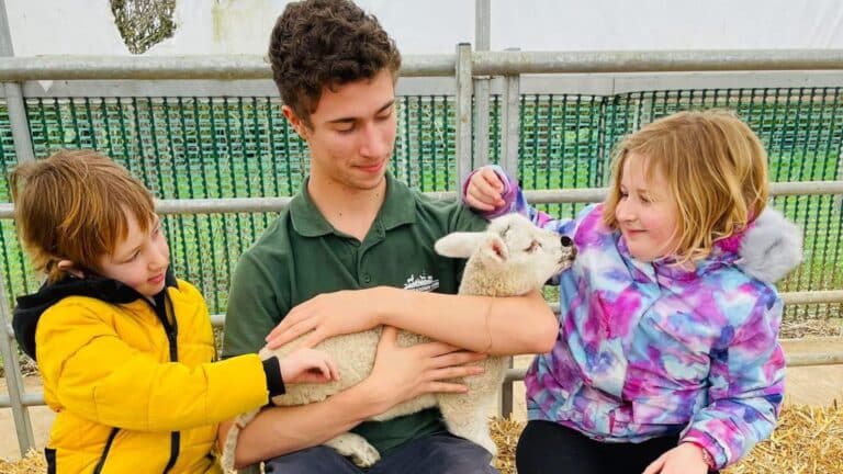 Mini Meadows Farm - Discover Northamptonshire
