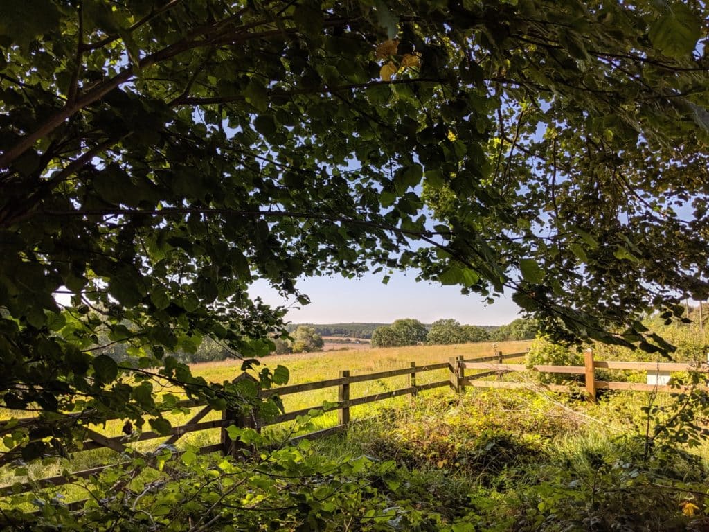 Fineshade Wood | Discover Northamptonshire