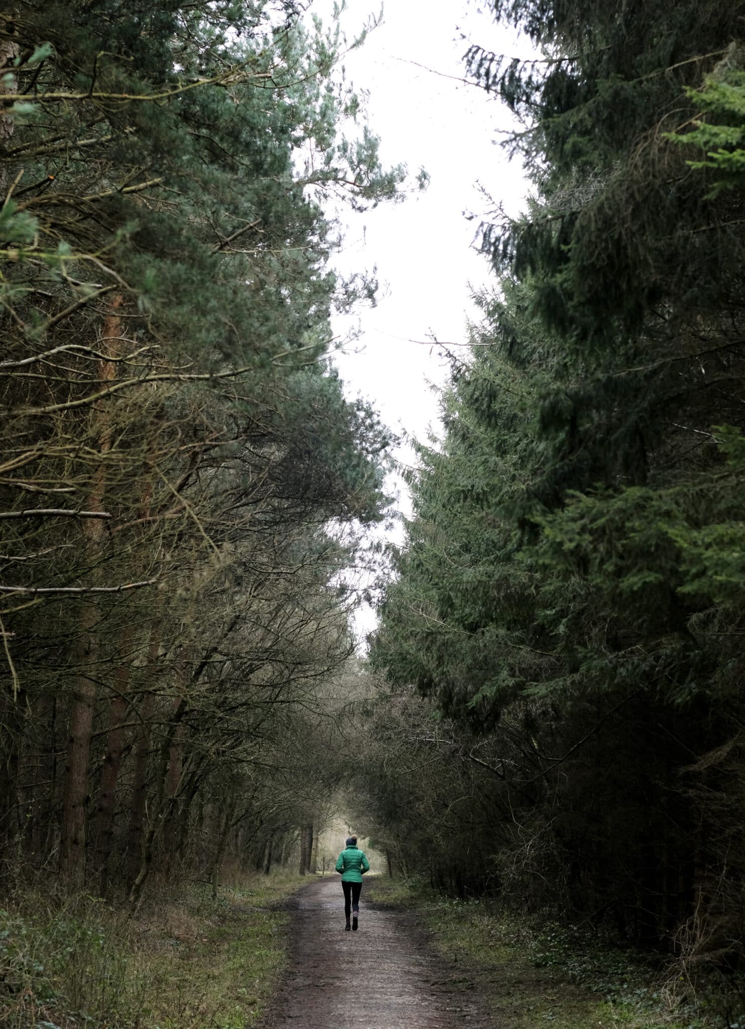 Fineshade Wood - Discover Northamptonshire