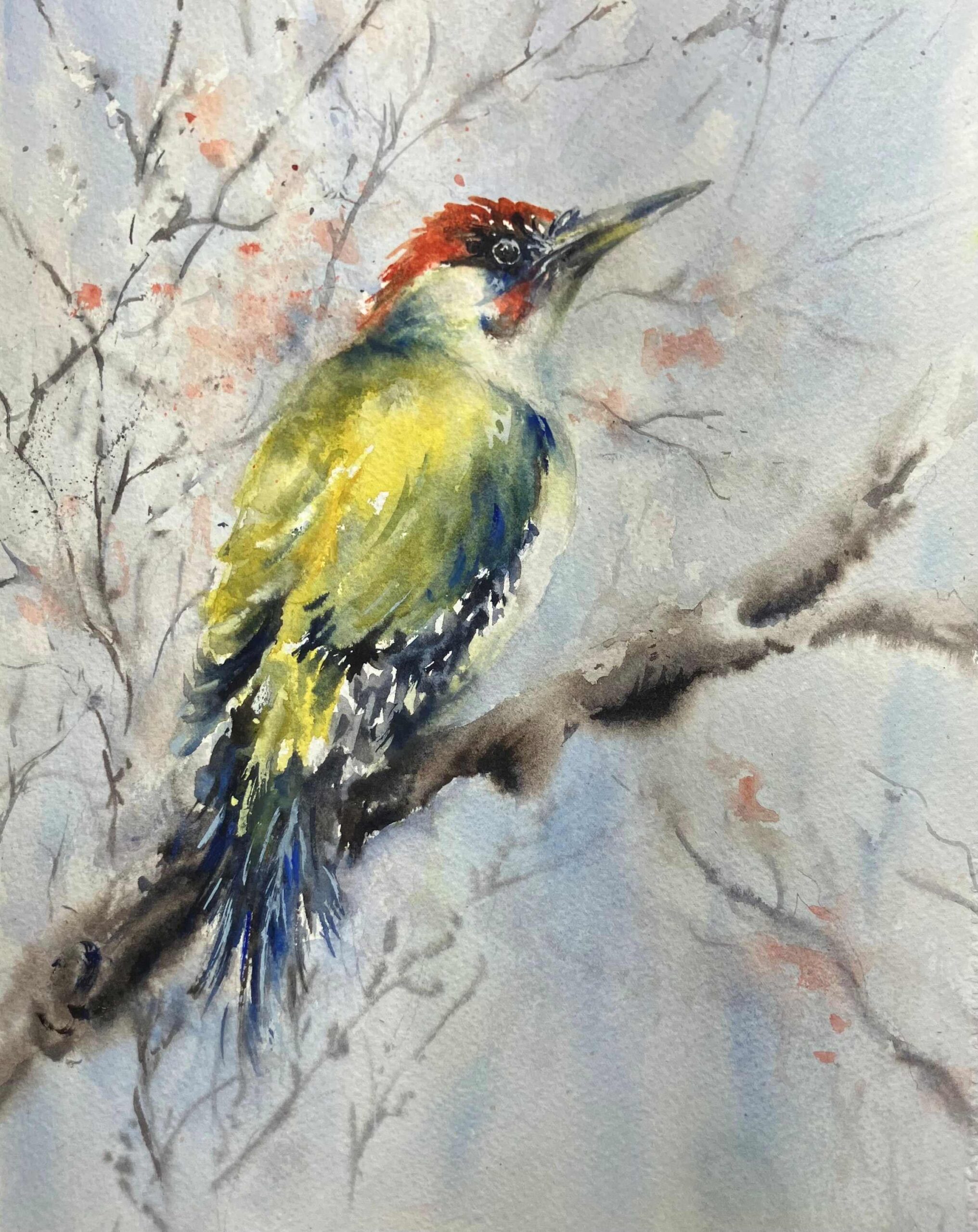 Paint a Woodpecker in Watercolour with Nicky Hunter – Afternoon ...